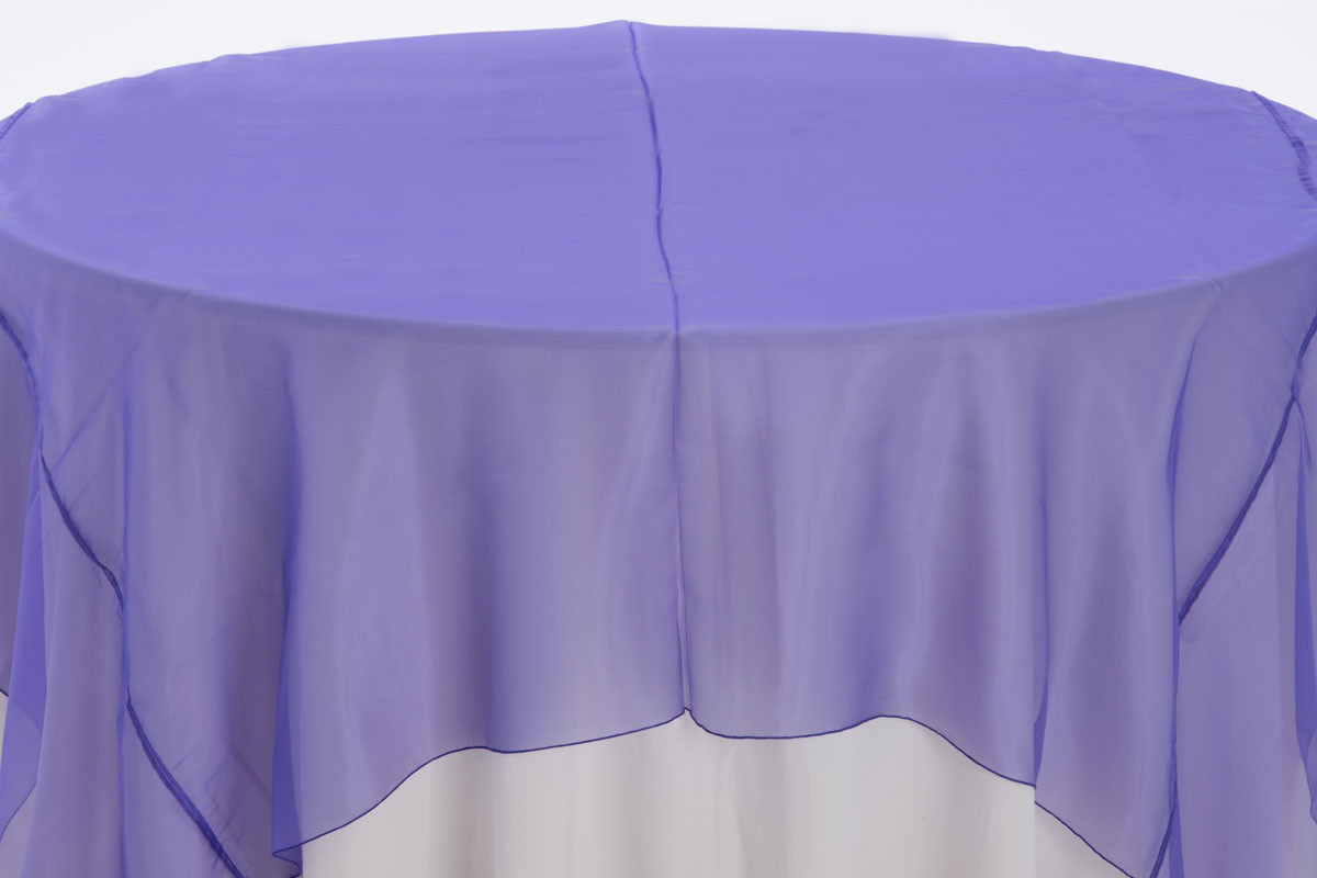 Deep Purple Organza - iRent Everything