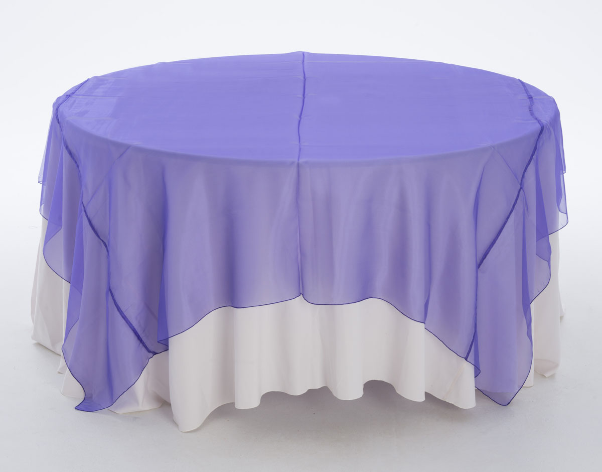 Deep Purple Organza - iRent Everything