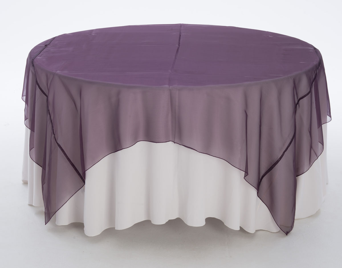 Eggplant Organza - iRent Everything
