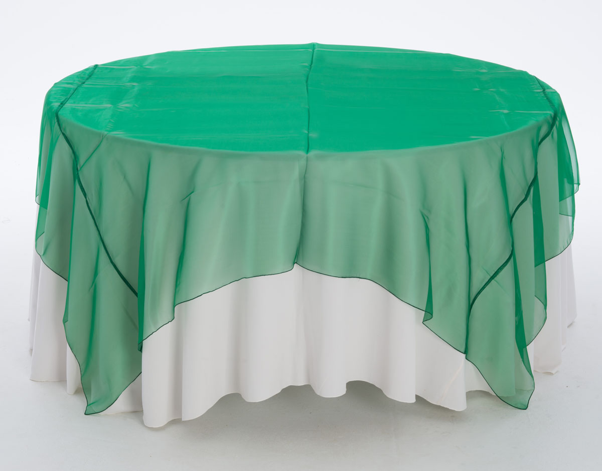 Evergreen Organza - iRent Everything