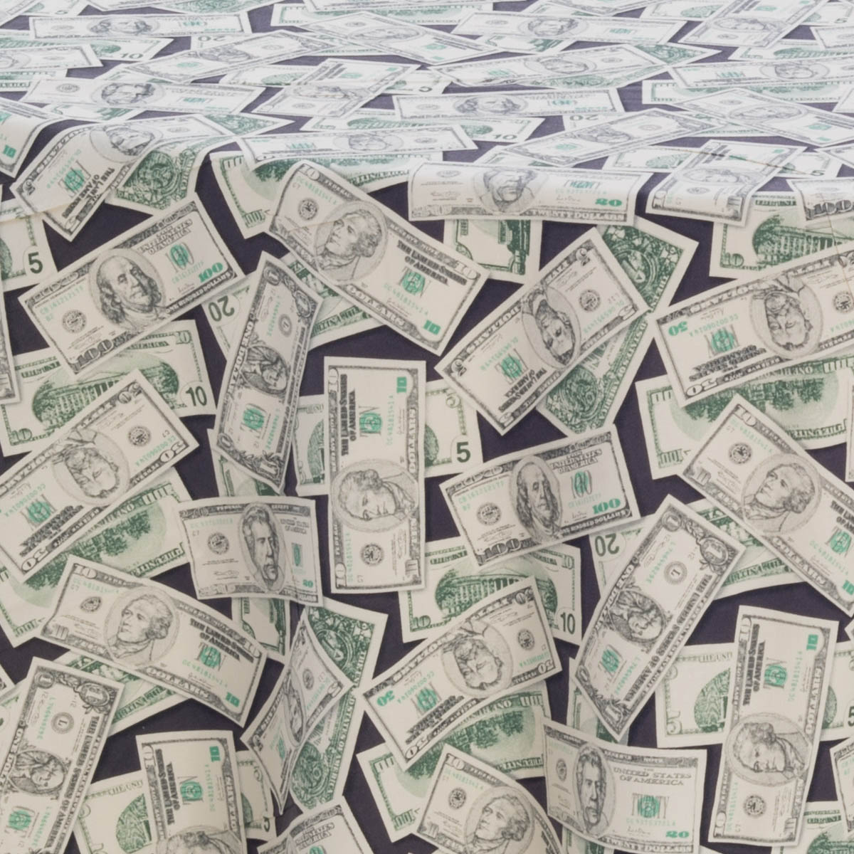 Money Prints Overlay - iRent Everything