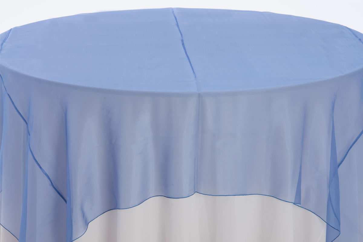 Periwinkle Organza - iRent Everything