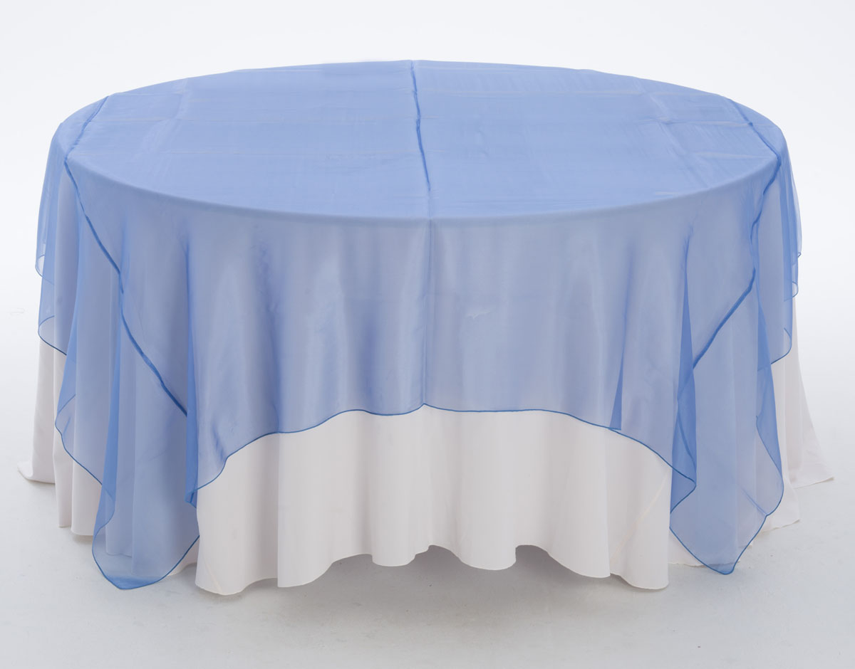 Periwinkle Organza - iRent Everything