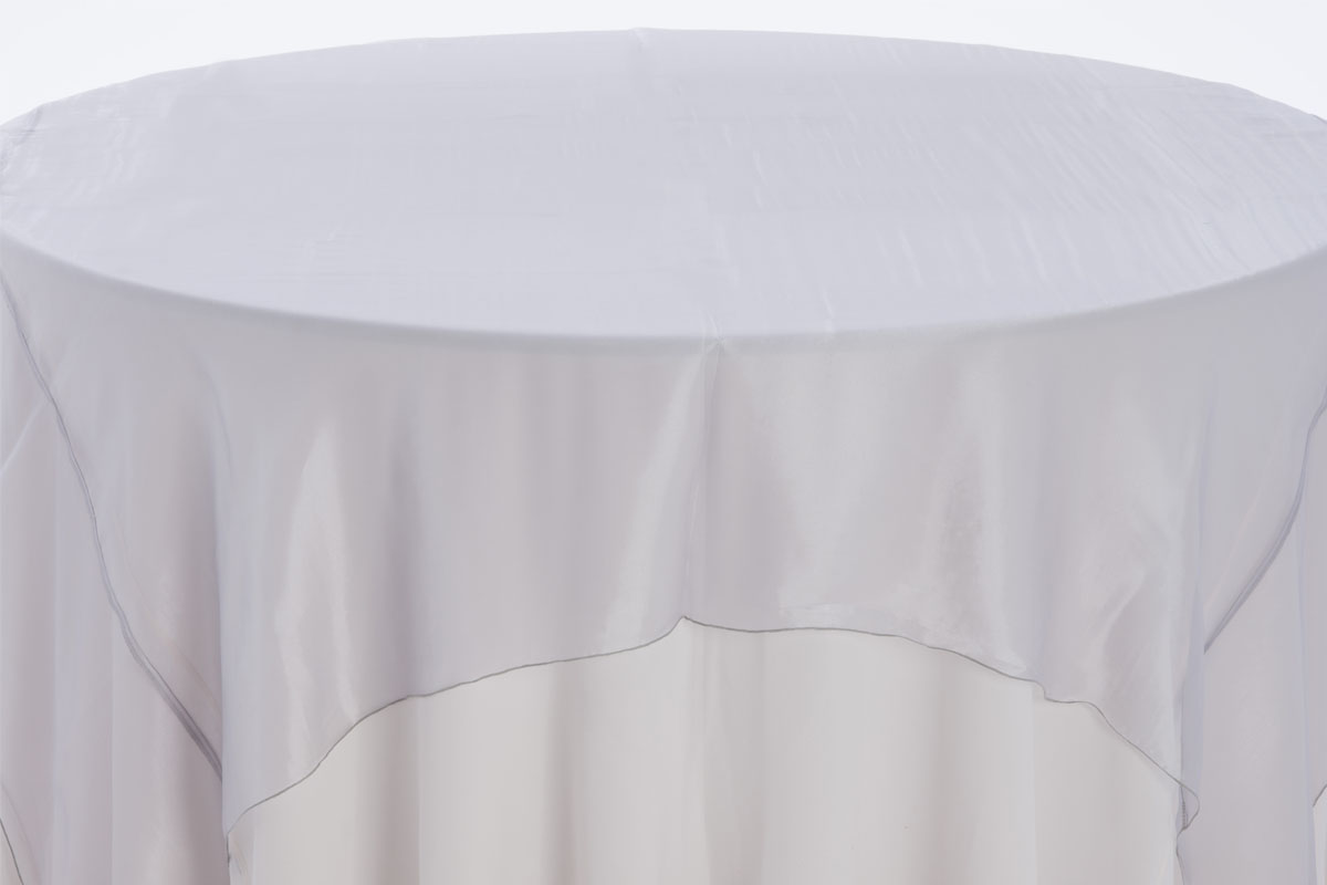 Silver Organza - iRent Everything