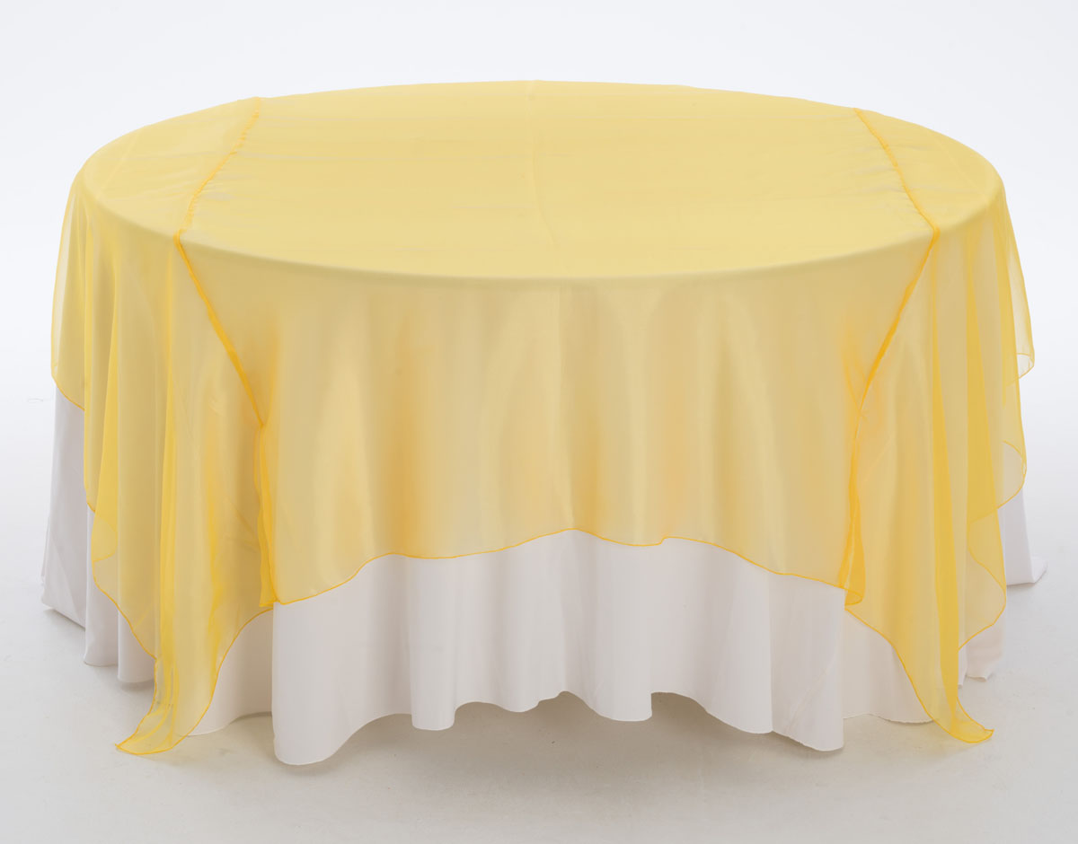 Gold Sunburst Organza - iRent Everything