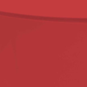Red Spandex - iRent Everything